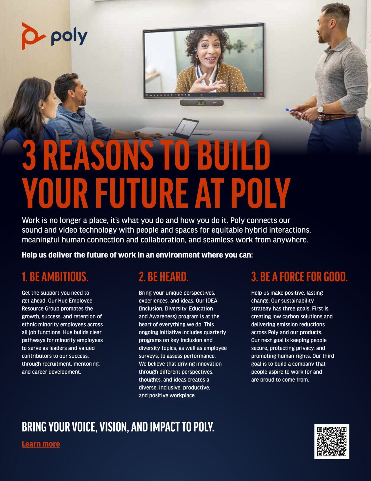 Poly Diversity Flyer | Nancy Kirwan